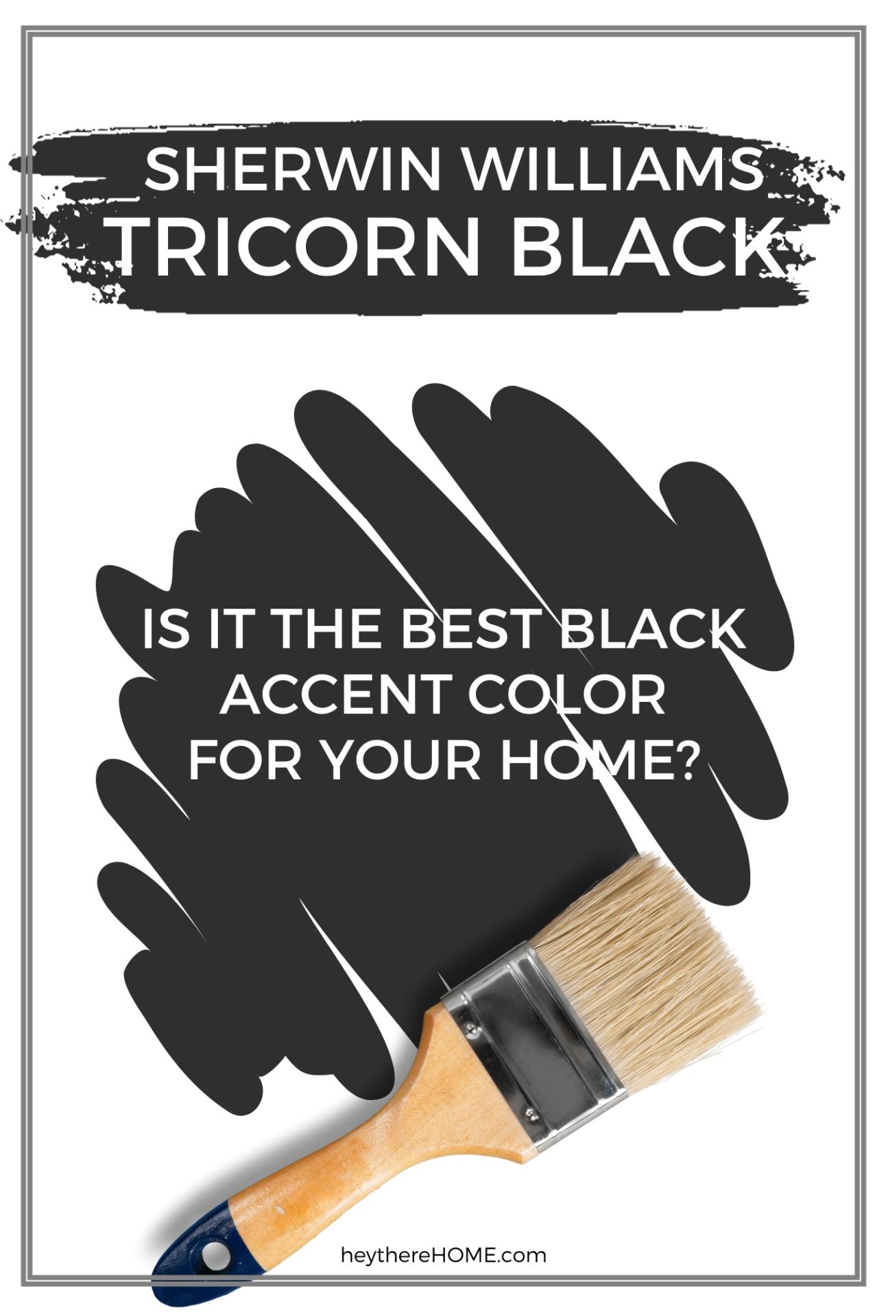 Tricorn Black: The Perfect True Black Paint Color