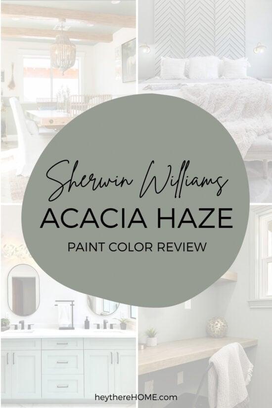 Acacia Haze Sherwin Williams - What You Need To Know